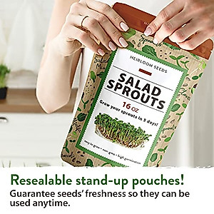Sprouts and Microgreens Seeds Bulk Mix (16oz): Broccoli, Alfalfa, Radish, Clover Seeds for Sprouting - Grow Healthy Non-GMO Micro Greens - Sprout Seeds Variety Pack - Even Spread of Varieties