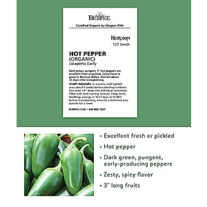 Burpee Jalapeno Early Organic Hot Pepper Seeds | 125 Non-GMO Jalapeno Pepper Garden Seeds for Planting | Heirloom Jalapeno Pepper Variety | Certified Organic Vegetable Seeds for Home Garden