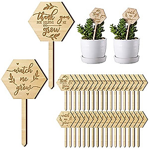 Watch Me Grow Succulent Tags Baby Shower Thank You for Helping Me Grow Plant Markers Hexagon Plant Stakes Labels Wooden Succulent Tag for Seed Flowers Garden Potted Plants (36 Pieces)