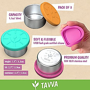 TAVVA Bundle Dips Salad Dressing Container To Go – 3X1.5oz Containers Earth Stainless Steel Food Containers [Set of 5]