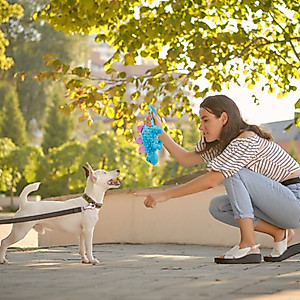 Alphatool Squeaky Dog Toy for Aggressive Chewer, Tough Plush Dog Toys for Large Dogs, Crinkle Interactive Puppy Dog Toys for Small Medium Dogs