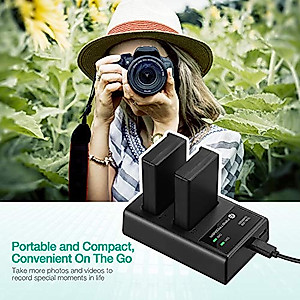 FirstPower EN-EL9 EN EL9a Battery 2-Pack 2000mAh and Dual USB Charger Compatible with Nikon D40, D40x, D60, D3000, D5000 Digital SLR Cameras