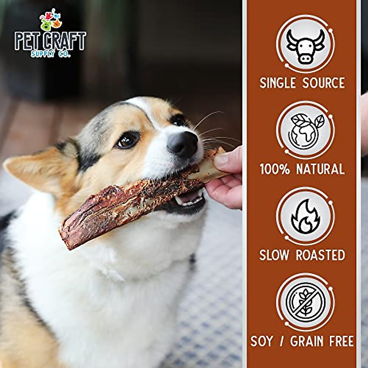 Pet Craft Supply All Natural Healthy Beef Rib Bones Dog Chews Treats for Aggressive Chewers Long Lasting Rawhide Free, Premium Grade Slow Roasted for Puppies or Small Medium Dogs 10 Count (Pack of 1)