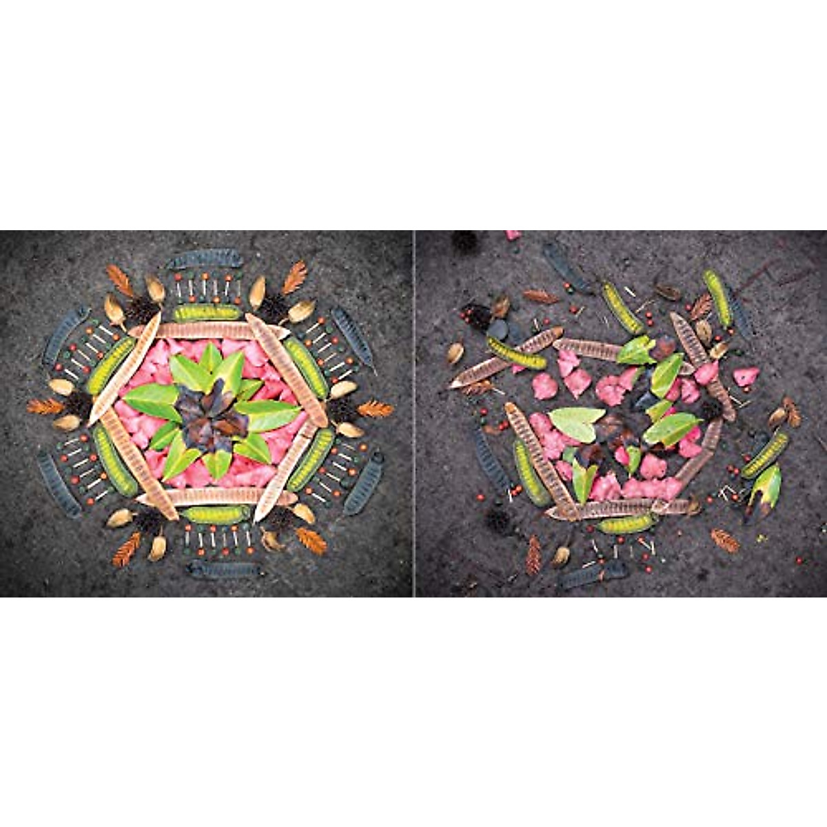 Morning Altars: A 7-Step Practice to Nourish Your Spirit through Nature, Art, and Ritual