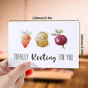 Nezyo 40 Pieces Funny Thank Cards with Envelopes Set Pun Greeting Note Cards Blank Inside Greeting Cards Funny Cards Pun Notecards for Kids Teachers Employee Birthday Holiday Appreciation, 4 x 6 Inch