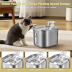 JCHOPE Cat Water Fountain Stainless Steel, 74oz/2.2L Automatic Circulating Pet Water Fountain with Faucet Design & 3 Flow Speeds, Ultra Quiet Cat Fountain Water Bowl with Triple Filter for Cats Dogs