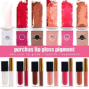 PARAMISS Lip Gloss Pigment Powder Natural Lip Dye 5 Colors x 10G and White Metallic Shimmer Pearl Glitter Pigment Powder for Lip Gloss Lipstick Eyeshadow Cosmetic Grade Lip Gloss Color Pigment