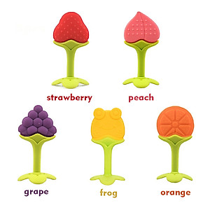 Baby Teething Toys - Natural Organic Freezer Safe Teether Set with Pacifier Clip for 3 to 12 Months Babies, Soft Silicone Fruit Teethers Toys, Infant and Toddler(5 Pack）
