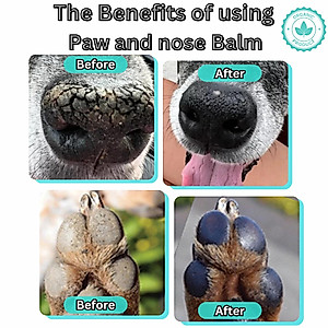 ZepetZ Paw & Nose Balm for Dogs and Cats - Lick-Safe, 100% Organic & Natural. Heals, Repairs, and Restores Dry, Cracked, and Damaged Paws & Noses. Moisturizes, Protects, Soothes & Revitalizes 1.75 oz.