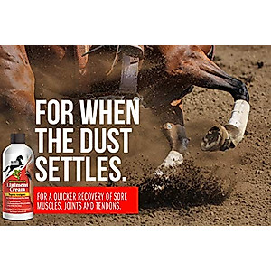 HARRIS Happy Horse Liniment, Wintergreen Cream for Sore Muscle & Joint Pain Relief, 16oz