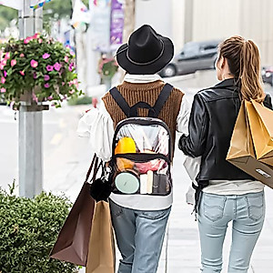 LYroo Clear Bag Stadium Approved Mini Backpack and Clear Crossbody Bag for Women Stadium Concert