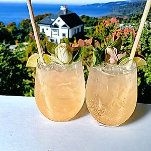 36 piece Stemless Unbreakable Crystal Clear Disposable Plastic Wine Glasses Set of 36 (10 Ounces)