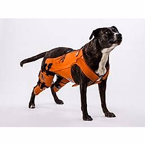 Holistic Horseworks Canine Musculoskeletal Unwinding Home Study Course - Watch Instantly, with Copy Canine Musculoskeletal Unwinding Workbook - for Dog and Pets Lovers