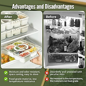 Snackle Box Container, Divided Serving Tray with Lid and Handle, 8 Compartments Serving Platters and 10 Stainless Steel Forks, Perfect for Organizing and Storing Candy, Fruits, Nuts, Snacks