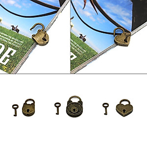 3Pcs Mini Archaize Padlocks Vintage Antique Style Bear Frog Heart Small Locks with Keys for Small Wooden Jewelry Boxes Suitcase Cabinet and Notebook Bronze
