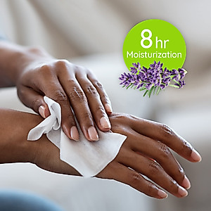Wet Ones Antibacterial Hand Wipes, Lavender Wipes | Antibacterial Wipes, Moisturizing Wipes | 40 ct. Canister