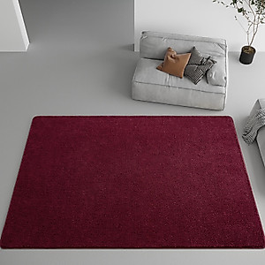 DweIke Large Vine Red Modern Area Rugs for Bedroom Living Room, 5x7 ft Thickened Memory-Foam Indoor Carpets, Minimalist Style Carpet Suitable for Boys Girls and Adults with Fluffy Touch, Washable