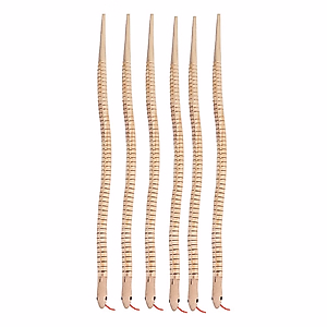 Unfinished Wooden Wiggly Snakes Toy: Jointed Flexible Wood Snake to Paint 6pcs Blank Animal Model for DIY Arts Crafts Birthday Party Favors