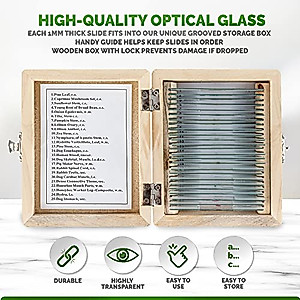 AmScope PS25 Prepared Microscope Slide Set for Basic Biological Science Education, 25 Slides, Includes Fitted Wooden Case Brown