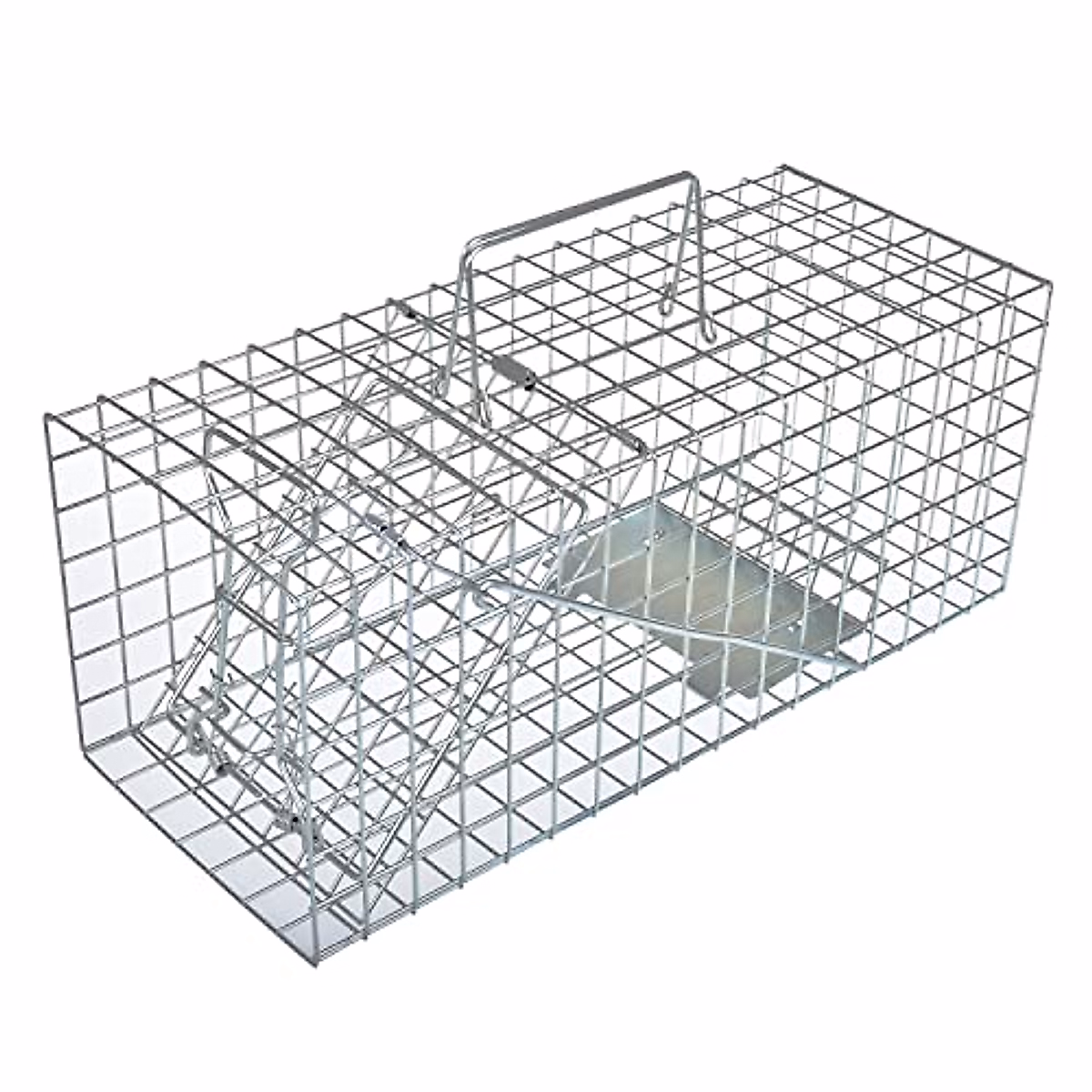 Anyhall Live Animal Cage Trap for Squirrels