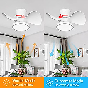 ocioc Quiet Ceiling Fan with LED Light 22 inch Large Air Volume Remote Control for Kitchen Bedroom Dining Room Patio