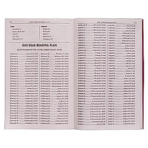 KJV Holy Bible, Gift and Award Bible - Softcover, King James Version, Burgundy (KJV Gift Award Editions)