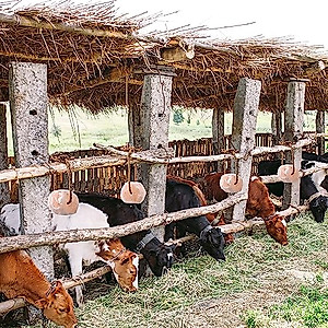 Fabbay 8 Pcs Lick Salt Round Pink 3.3lbs Salt Lick on Rope Natural Lick Salt Block Long Lasting Mineral Salt Block for Horse Deer Cow Goat Cattle Pig Small Pet and Livestock