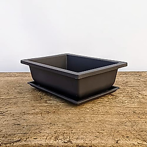 Bonsai Outlet Training Pots with Humidity Trays - Built in Mesh, Brown 8-Inch Large Planters + Made from Durable Shatter Proof Poly-Resin, Set of 3 Pot Set