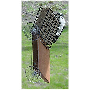 Songbird Essentials Suet Window Feeder