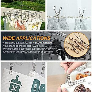 Rustark 145Pcs Stainless Steel Clothespin Clips with Spring Hooks Assortment Kit Heavy Duty Multipurpose Metal Wire Utility Clips Windproof Clothes Pegs for Outdoor Clothesline Home Kitchen