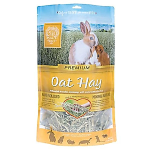 Small Pet Select Oat Hay Pet Food, Delightful Treat for Rabbits, Guinea Pigs and Other Small Animals, Food Additive for Picky Eaters, 12 OZ