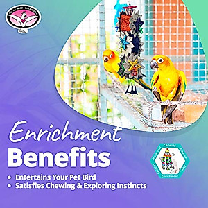 Super Bird Creations SB1098 Palm Star Bird Toy, Medium Bird Size, 13" x 3.5" x 3.5"