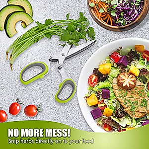 LHS Herb Scissors with 5 Multi Stainless Steel Blades and Safe Cover Kitchen Gadgets Cutter, Kitchen Chopping Shear, Mincer, Sharp Dishwasher Safe Kitchen Gadget, Culinary Cutter