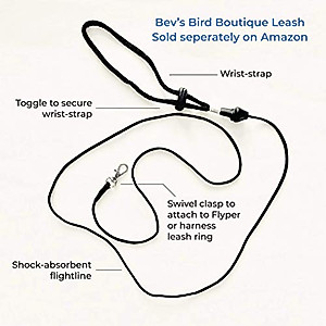 Bev's Bird Boutique - Patriot Larger Sizes - Open Back Style (8.5)