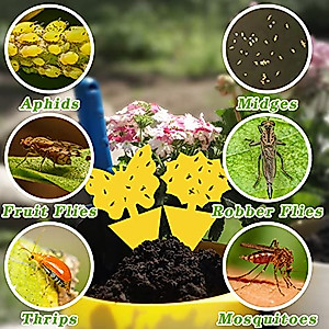 Landisun Fruit Fly Sticky Traps 48PCS Fungus Gnat Traps Bug Traps Gnat Killer for Indoor Outdoor House Kitchen Plants Whitefly Mosquitos Flying Insects JPM0149 Yellow