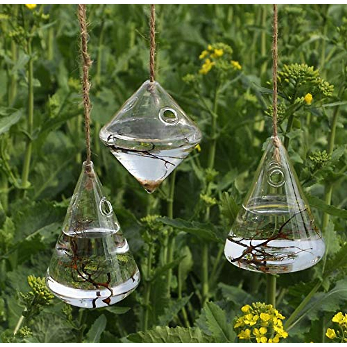 Fashionstorm Indoor Outdoor Glass Hanging Planters Plant Pots Water Plant Containers Flower Pots Glass Terrariums 3 Pieces