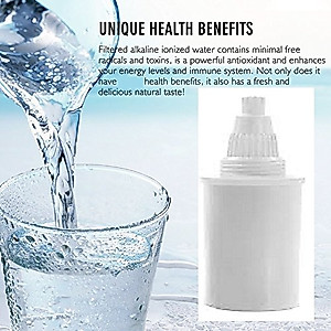 WellBlue Alkaline Water Replacement Filters (White) - 3 Pack