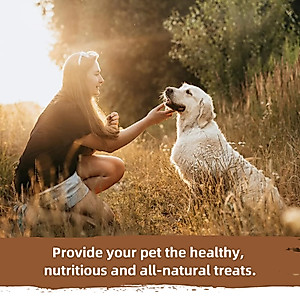 Jungle Calling Dog Treats, Chicken Wrapped Rawhide Sticks for Dogs, Delicious and Nutritious Training Reward Treats and Dog Chews Snacks, 6 oz