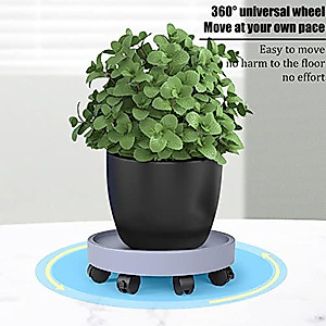 RUDINO,Plant Caddies,Rolling Plant Stand,Planter Caddy,Plant Roller Base,Planter Caddy with Wheels,Plant Tray with Wheels,Plant Stand with Wheels Outdoor.-Grey-Living Room,Balcony,Study and Garden.