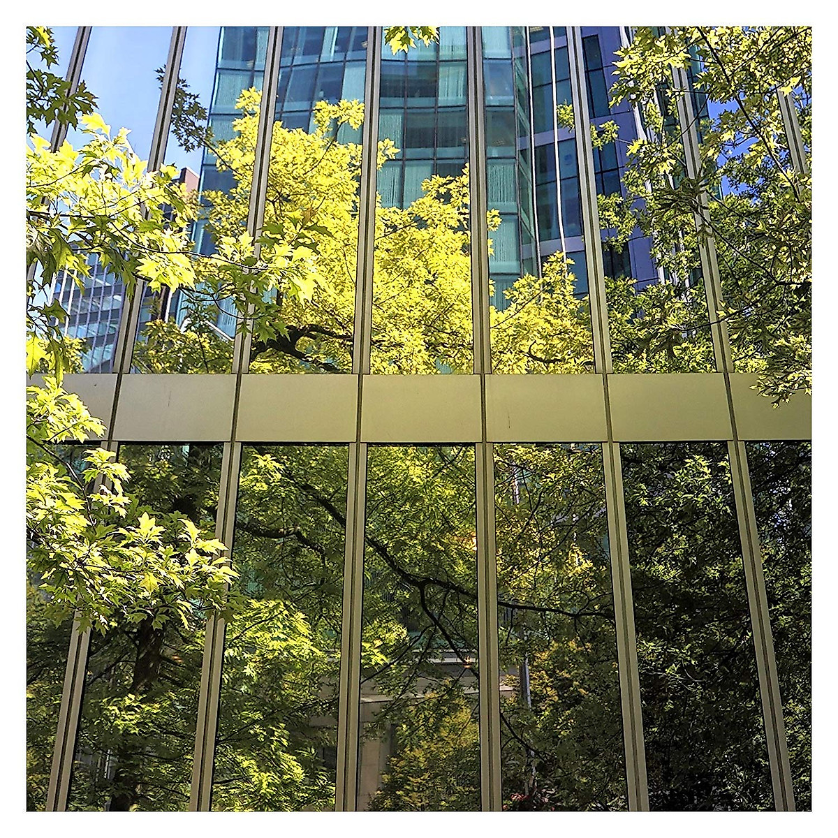 Window Film Privacy One Way Window Reflective Film Sun Blocking, Heat Control and Anti UV Adhesive Mirror Window Tint for Home and Office, 60Inch x 17.7Inch, Silver