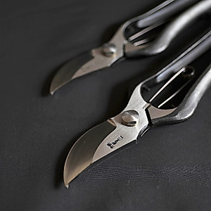 RANSHOU Japanese Pruning Shears for Gardening 8” Made in JAPAN, Professional Heavy Duty Bypass Pruners, Hand Forged Japanese Carbon Steel Blade, Spring Loaded Handle, Black