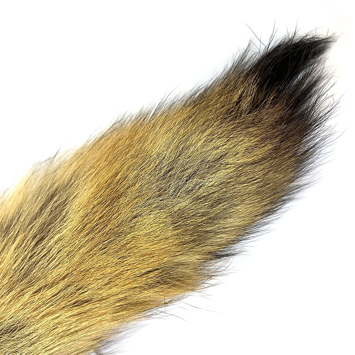 CIFIBIFUN Real Coyote Fluffy Tail Costume Fur Pelts Cosplay and Hides Tails DIY Ornament