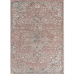 Rugs America Hailey Collection Vintage Transitional Area Rug - Ideal for Living Space, Living Room, Dining Room, Bedroom and Many More (6' Round, Pink Amaranth)