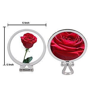 Miss Sweet Folding Hand Held Mirror with 10x Magnification & True Image, 6.1inch Travel Mirror (10X)