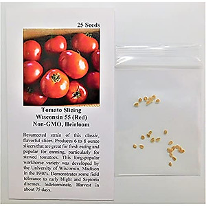 David's Garden Seeds Tomato Slicing Indeterminate Wisconsin (Red) 25 Non-GMO, Heirloom Seeds
