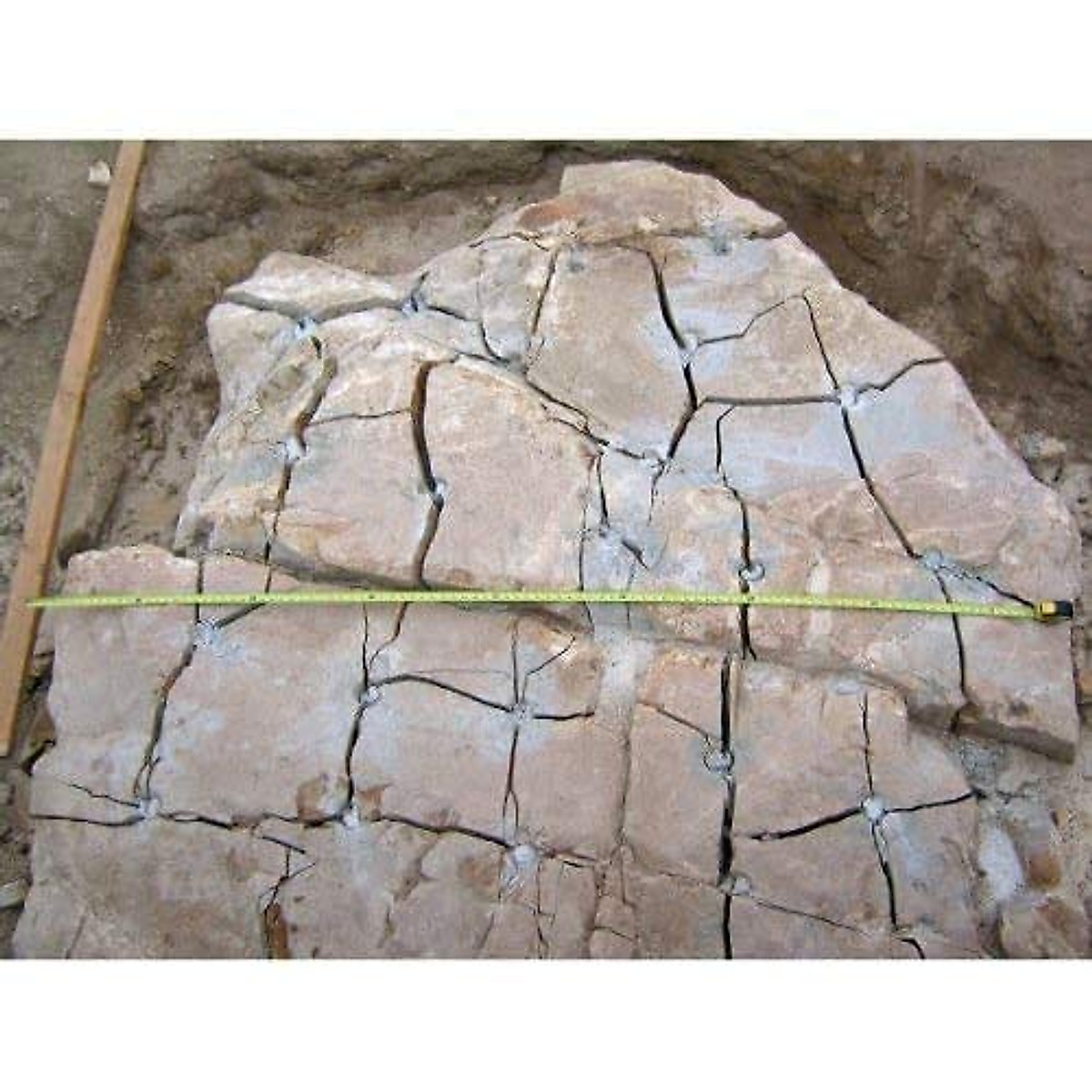 Dexpan Expansive Demolition Grout 44 Lb. Bucket for Rock Breaking, Concrete Cutting, Excavating. Alternative to Demolition Jack Hammer Breaker, Jackhammer, Concrete Saw, Rock Drill (DEXPAN44BKT3) (23F-50F)