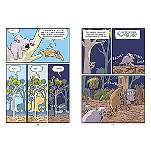 Surviving the Wild: Rainbow the Koala