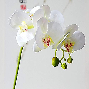 Calcifer 6 Pcs 3D Artificial Real Touch Latex Phalaenopsis Orchid Stem Bouquets Artificial Flowers for Wedding Party Home Garden Decoration (White&Yellow Heart)