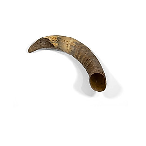 Little Loyals |100% Natural Cattle Horn |Dog Chew Toy |Long Lasting Treat |Fully Digestible |Gluten Free |Grain Free |Free Range| Grass Fed| for Aggressive Chewers |Dental Care |Medium