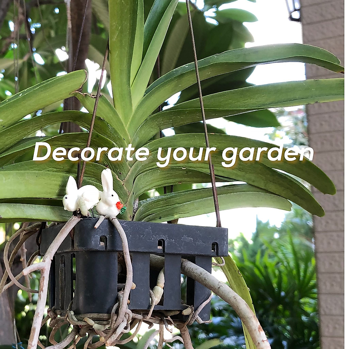 Ray 1979 Miniature Dollhouse Fairy Garden 0.5 inch Accessories 5 pcs Set for DIY Decorations, Mini Figurines for Mini Garden, Terrarium, Bonsai, Cactus, Moss Landscape (Rabbit -5Pcs)